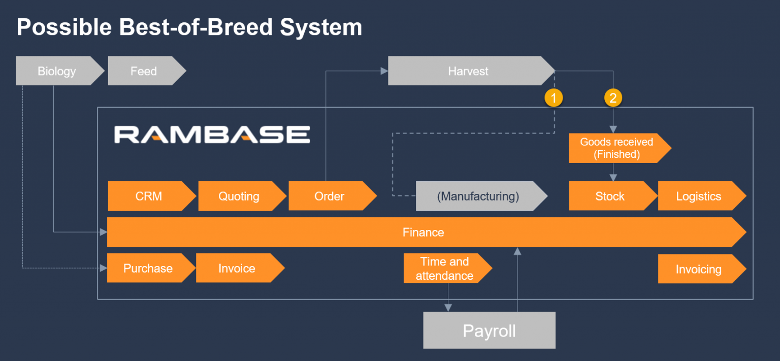 Best-of-breed solution with RamBase