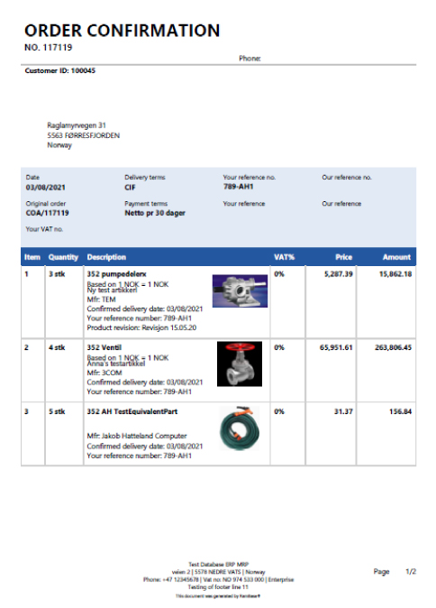 RamBase Developer | Customize Output Designs